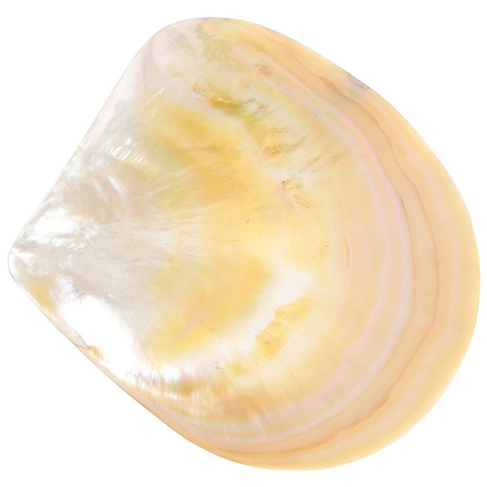 Multi-function Food Plate Serving Tray with Lid Creative Fruit Dessert ...