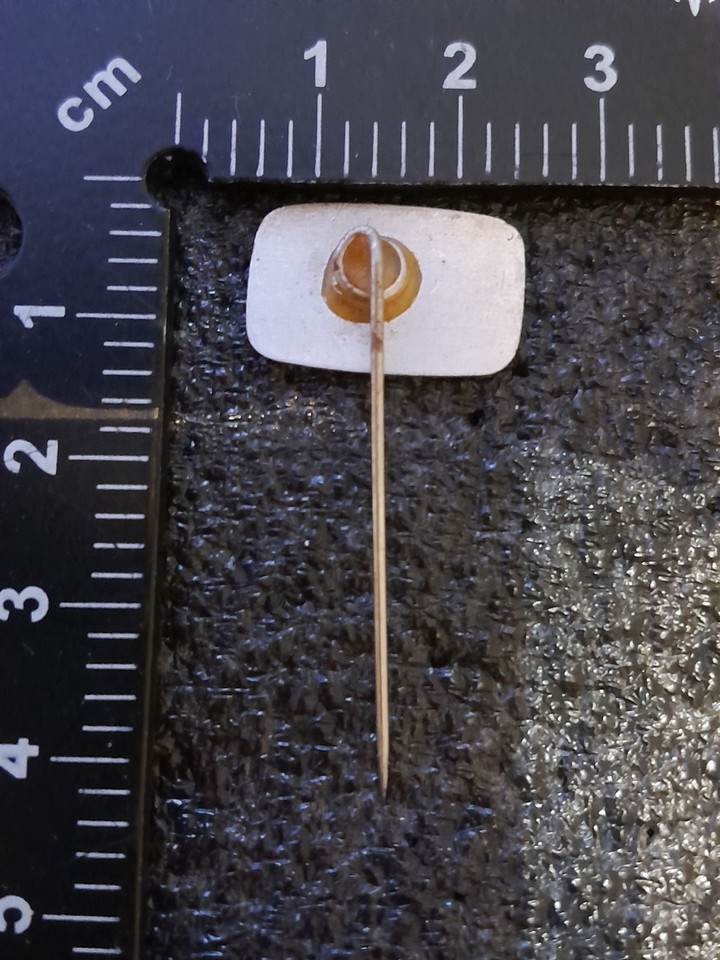 Ancien Insigne Trappist Bière Beer. Vintage 1960. Epingle Publicitaire ...