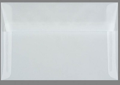 Vellum Envelopes Wedding Scrapbooking/Crafts 6x9 Clear Translucent ...