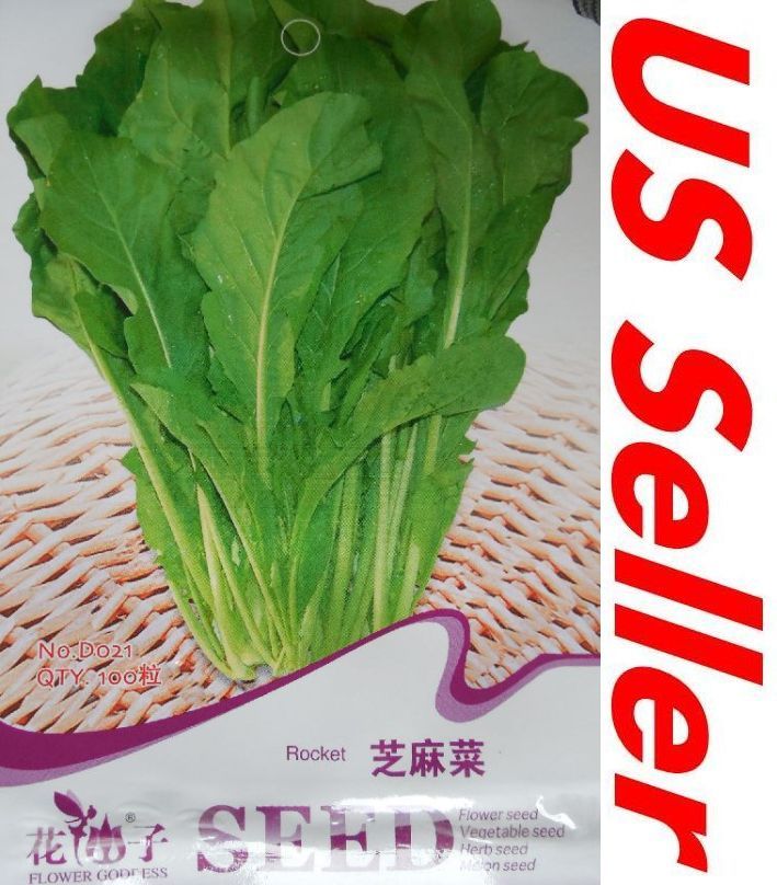 100 Seeds Rocket Vegetable Seeds E134, Garden Vegetable Seeds | eBay