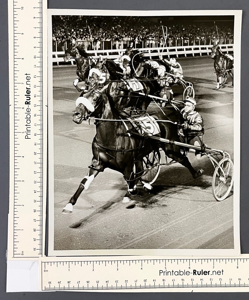 1960s Yonkers Raceway Harness Horse Race Action Shot Jockeys VTG Press ...