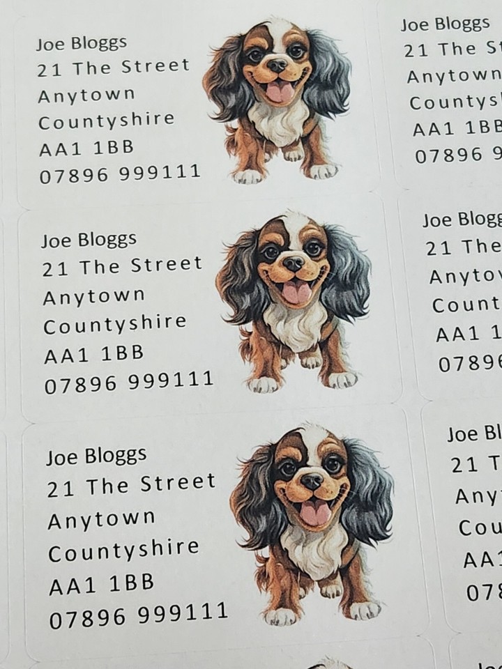 Dog Address Labels x 84 Personalised Self Adhesive Stickers | eBay UK