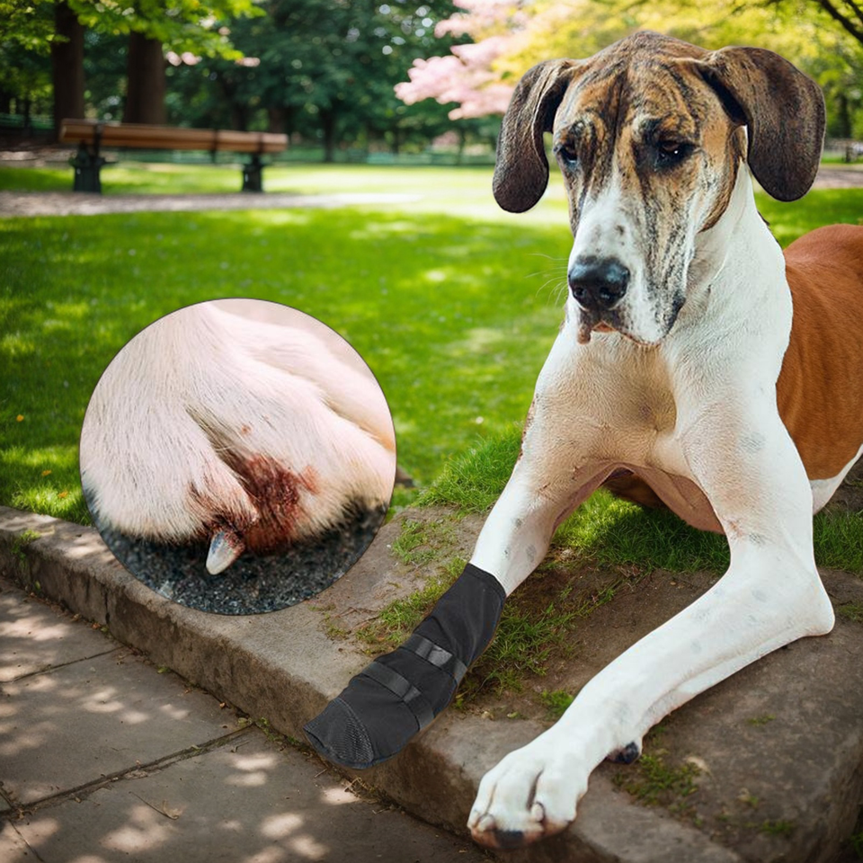 Dog Paw Wound Cover Adjustable Dog Boots For Injured Paws Waterproof ...