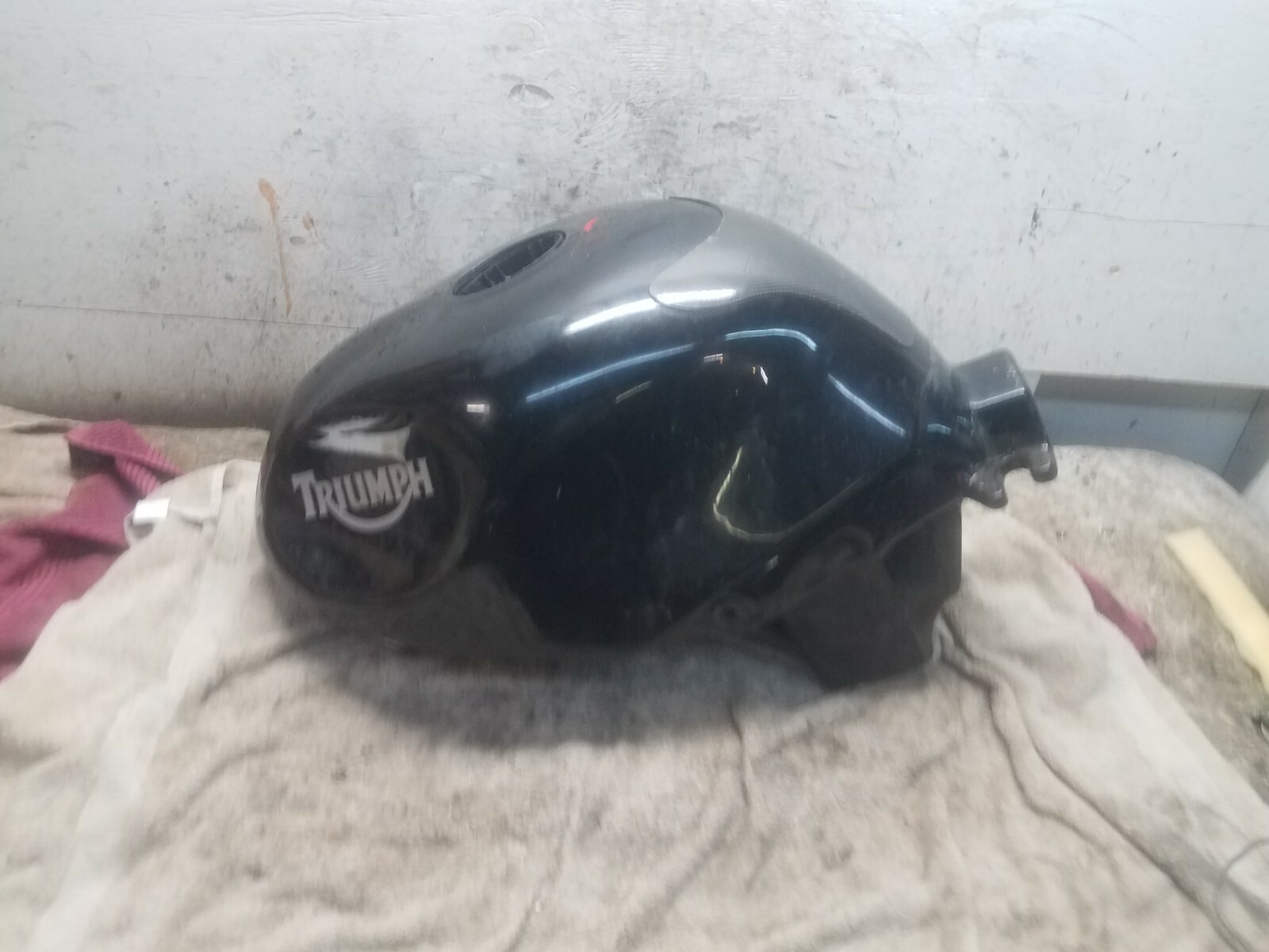 2000 Triumph Speed Triple 955i 955 Gas Tank Fuel Tank | eBay
