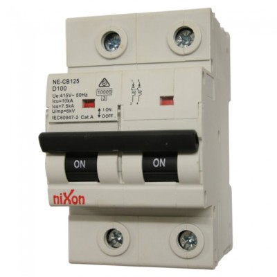 100AMP - 2 Pole 10ka MCB - Circuit Breaker (27mm Width) - D Curve Free ...