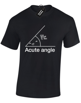 Acute Angle Memes Hazlehead Academy Maths & Numeracy On X: "S1 Have