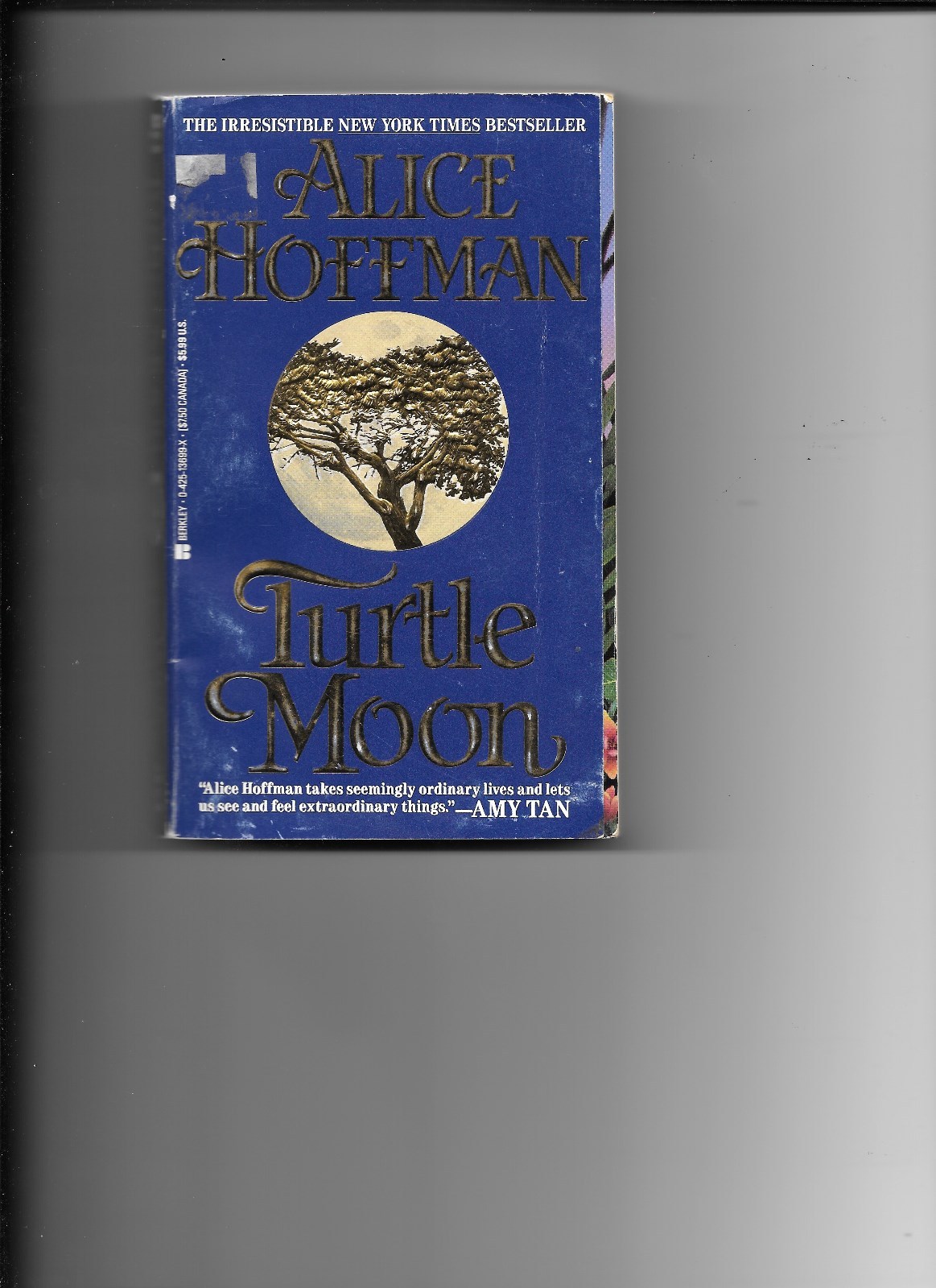 Turtle Moon book by Alice Hoffman 1992 | eBay