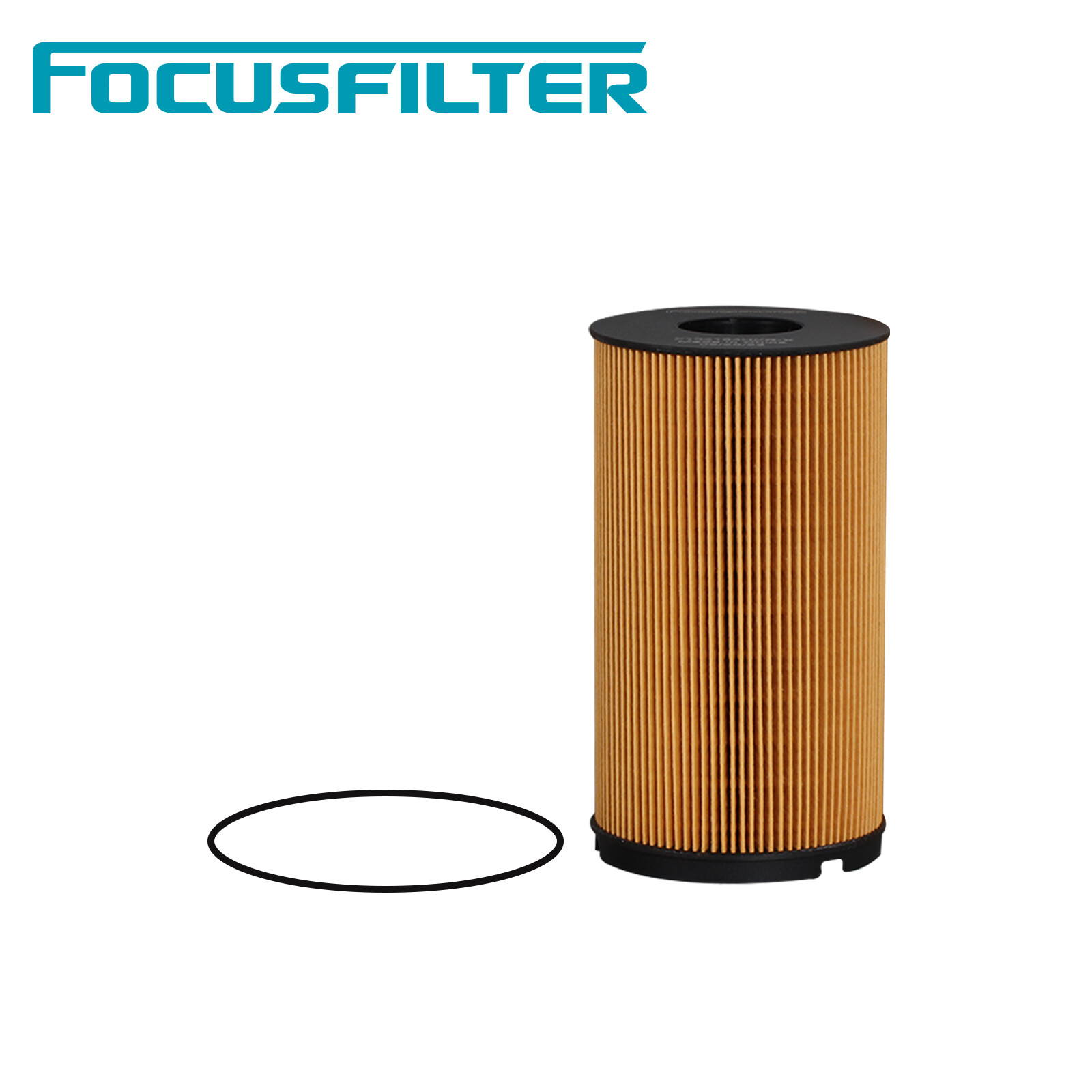 FOCUSFILTER 4040481C1 Fuel Filter Fits Luber Finer L7420F, PF46261 ...
