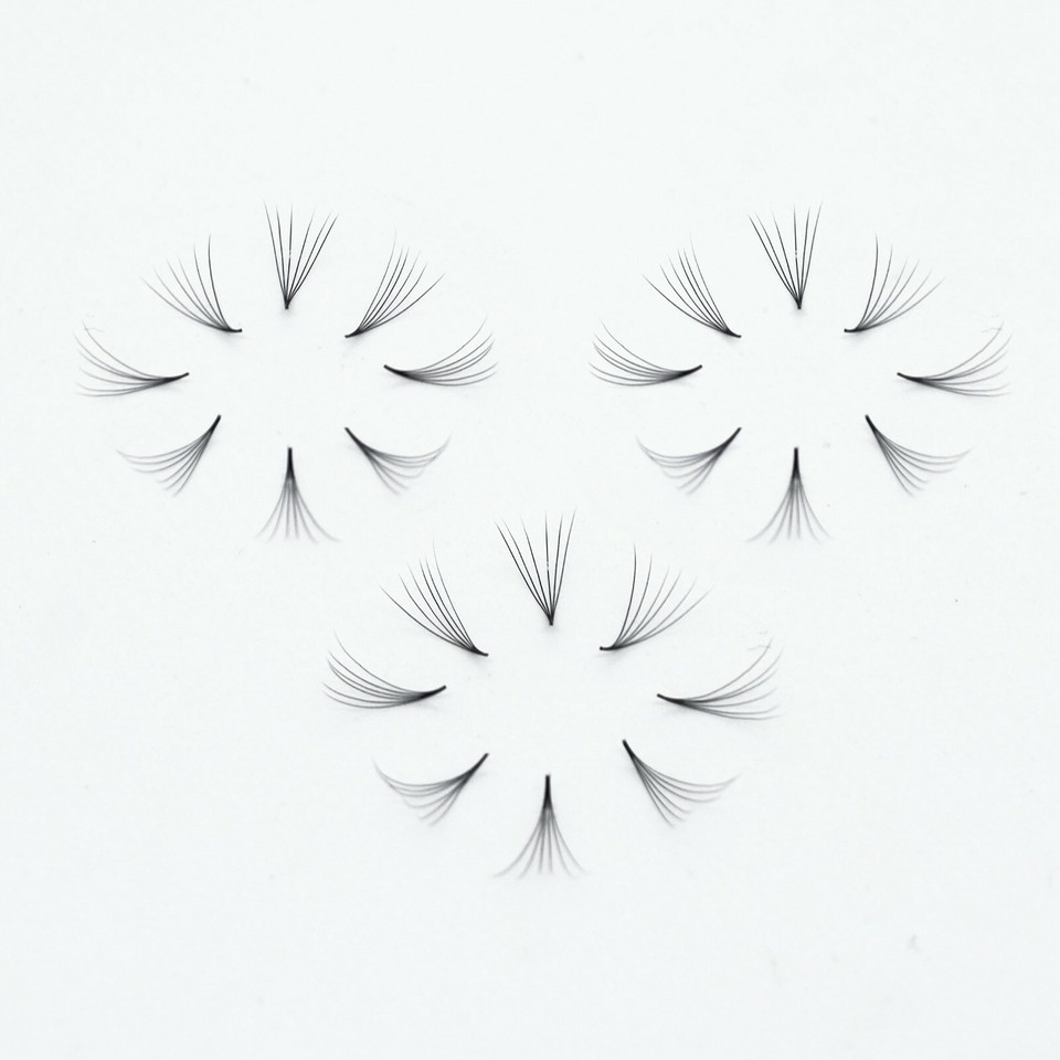 6D Lashes, 1000 fans premade volume eyelash extensions, ready to ship ...