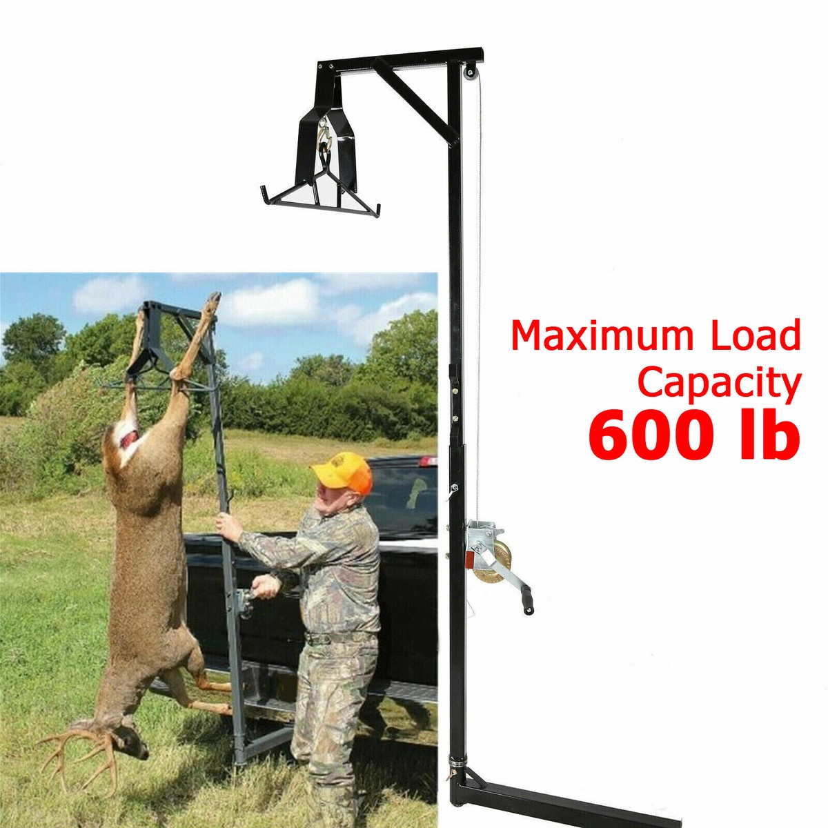 Deer Skinning Rack 500lb Trailer Hitch Deer Hoist - Adjustable Game ...