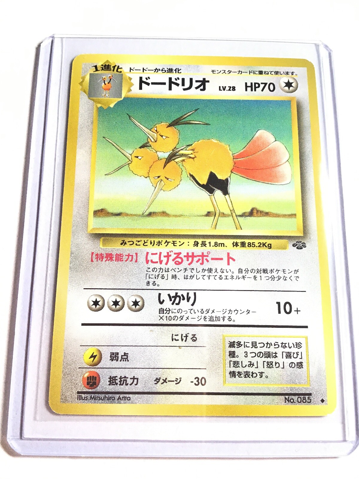 DODRIO - Japanese Jungle Set - No. 085 - Uncommon - Pokemon Card - NM ...