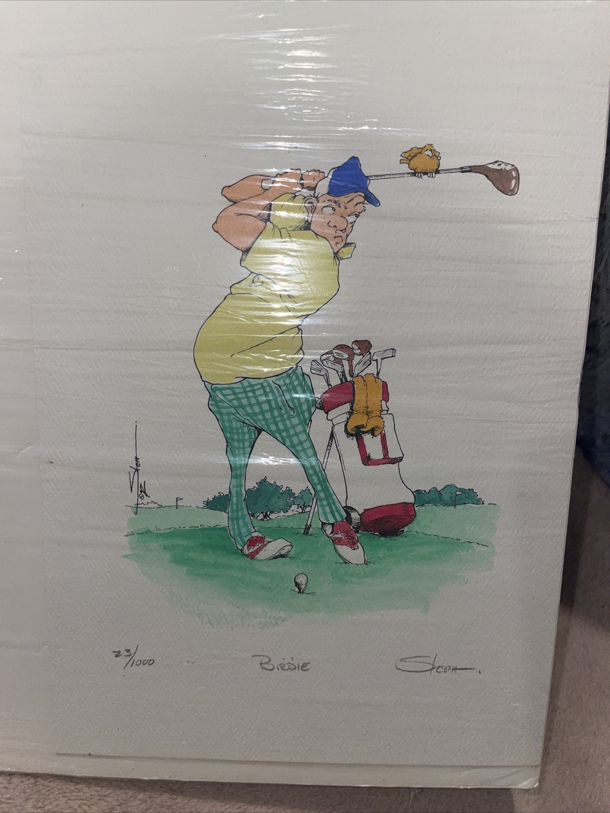 Steven Gill Original Artwork Signed Birdie 23/1000 See Pictures 9x4 | eBay