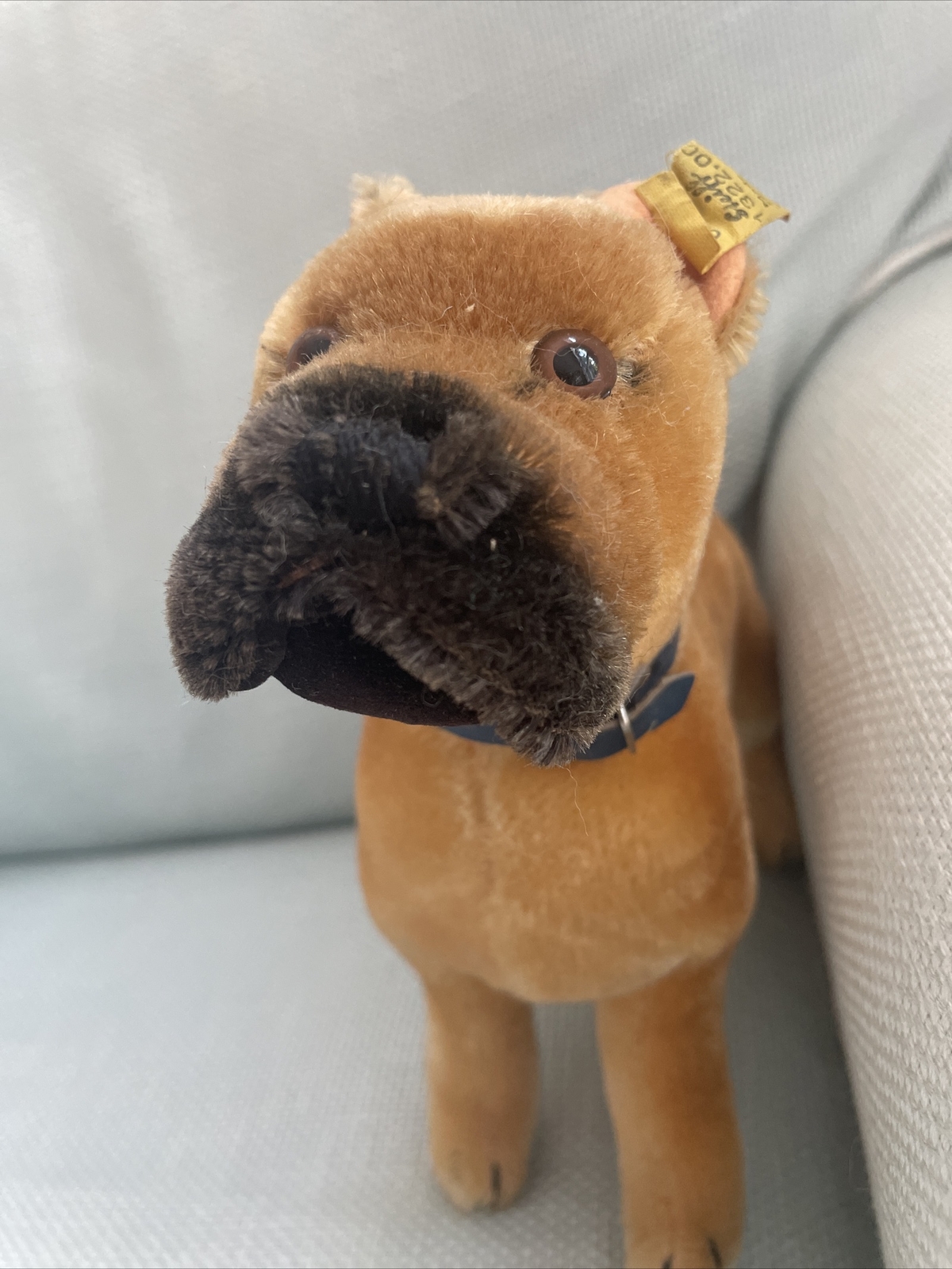 Early Vintage Steiff 6” Sarras Steiff Dog Made In Germany Steiff Boxer ...