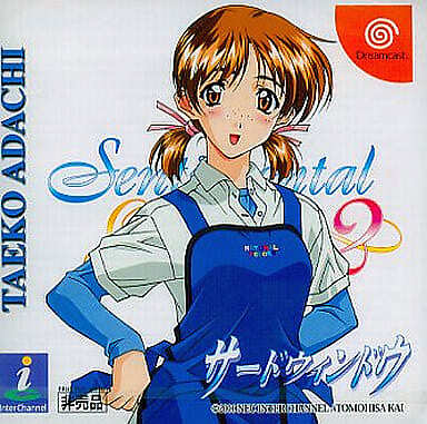 Sentimental Graffiti 2 Third Window Taeko Ando Dreamcast Japan Ver. | eBay