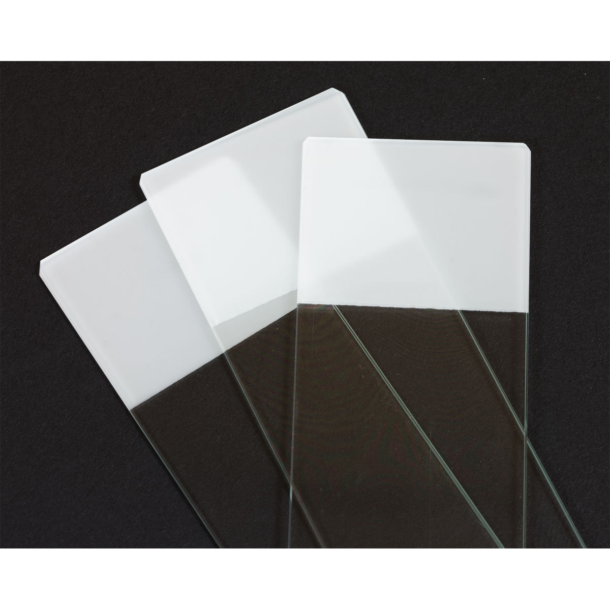 Microscope Slides Two side frost 45 degree beveled edge 1440 pk | eBay