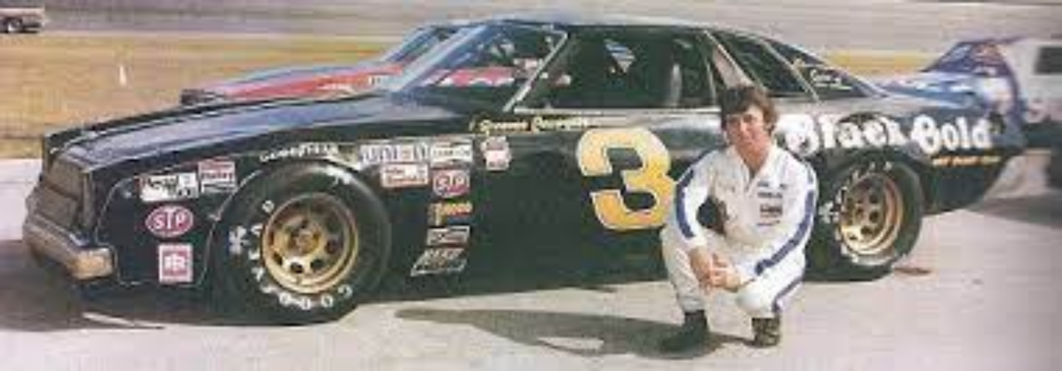 Powerslide 113 #3/#96 Black Gold/Kansas Jack Richard Childress 1/25 ...