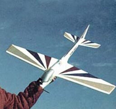 Cheetah Mini Pattern Plane 36" Wing RC Model Airplane Printed Plans ...