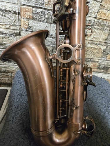 Saxophone Slade Alto Engraved Special Design with Case and Neckstrap ...
