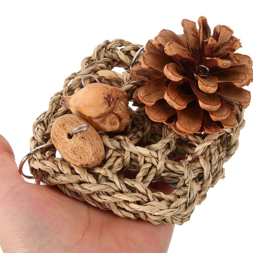 Hanging Parrot Chewing Net Pet Parrot Climbing Netting Bird Cage ...