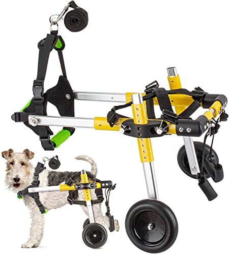 Dog Mobility Wheels Wheelchairs For Dogs | Best Friend Mobility