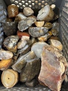 Bustedflakes | eBay Stores