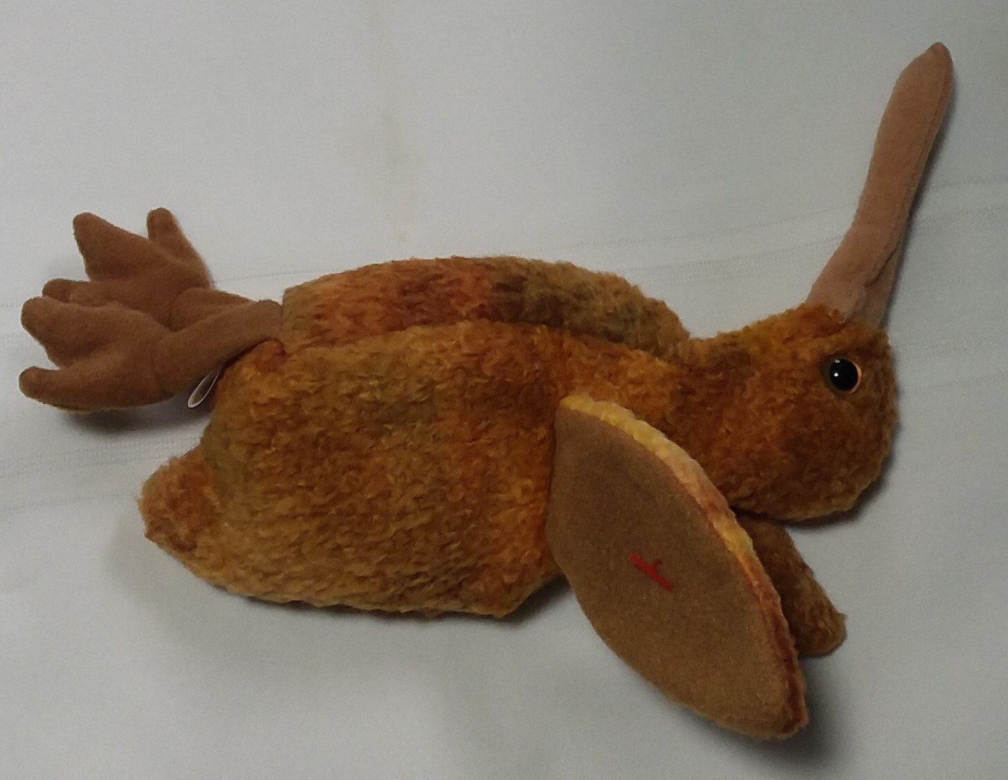 TY Beanie Baby Beak Kiwi Bird 1998 Retired Pristine Original Rare ...