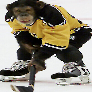 Sports Monkey's Collectables | eBay Stores