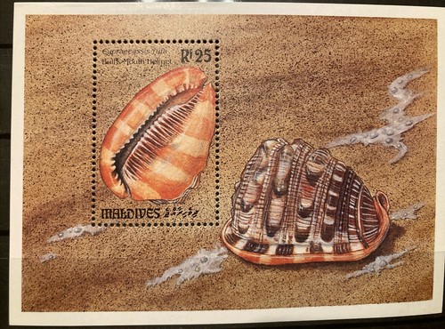 Maldives, shells S.C.#1857A, S.C.V.$8 MNH. Complete S/S of 1 issued in ...