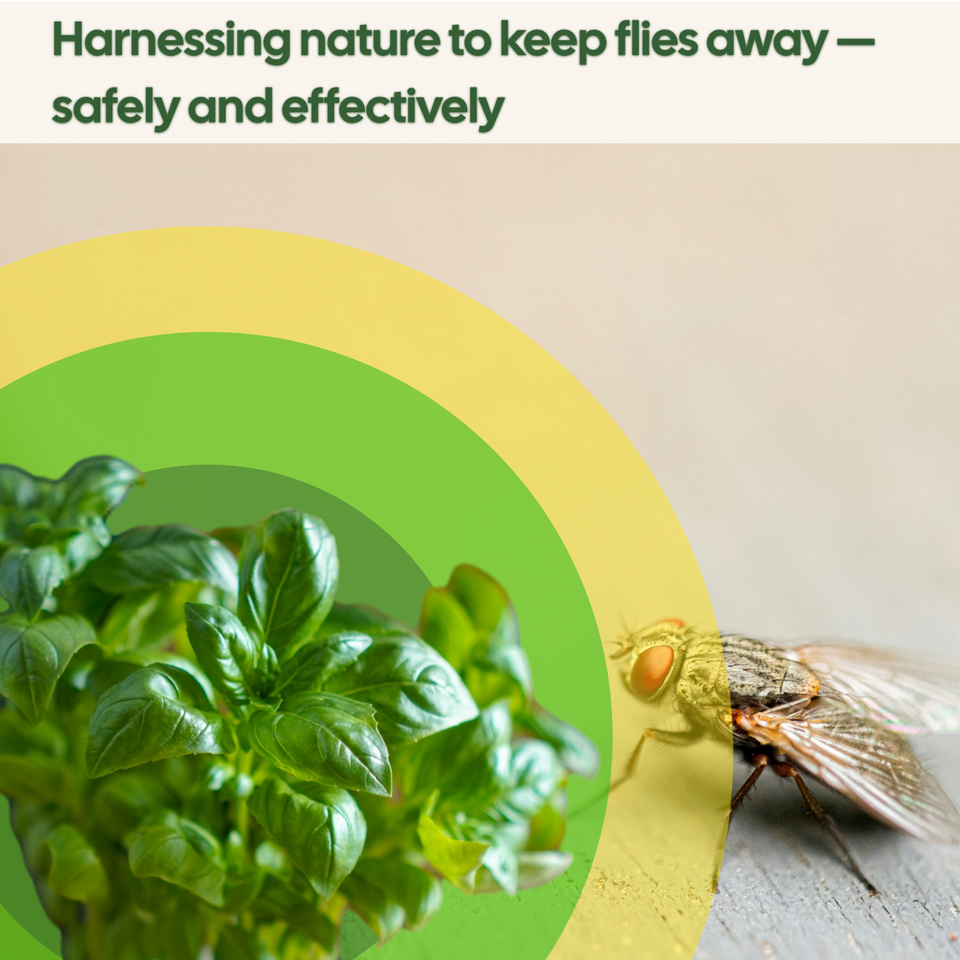 Stop Flies. Natural Fly Deterrent. Repel Flies. Outdoor & Indoor use ...