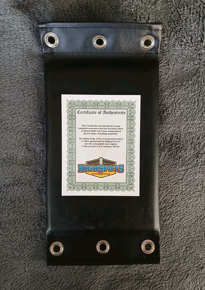 Dana Brooke Autographed Pro Wrestling Mini Turnbuckle Pad Highspots ...