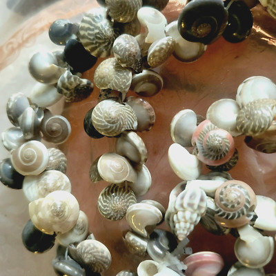 Vintage Red Black Zebra Nerite Conch Shell Necklace Layered Hawaiian ...