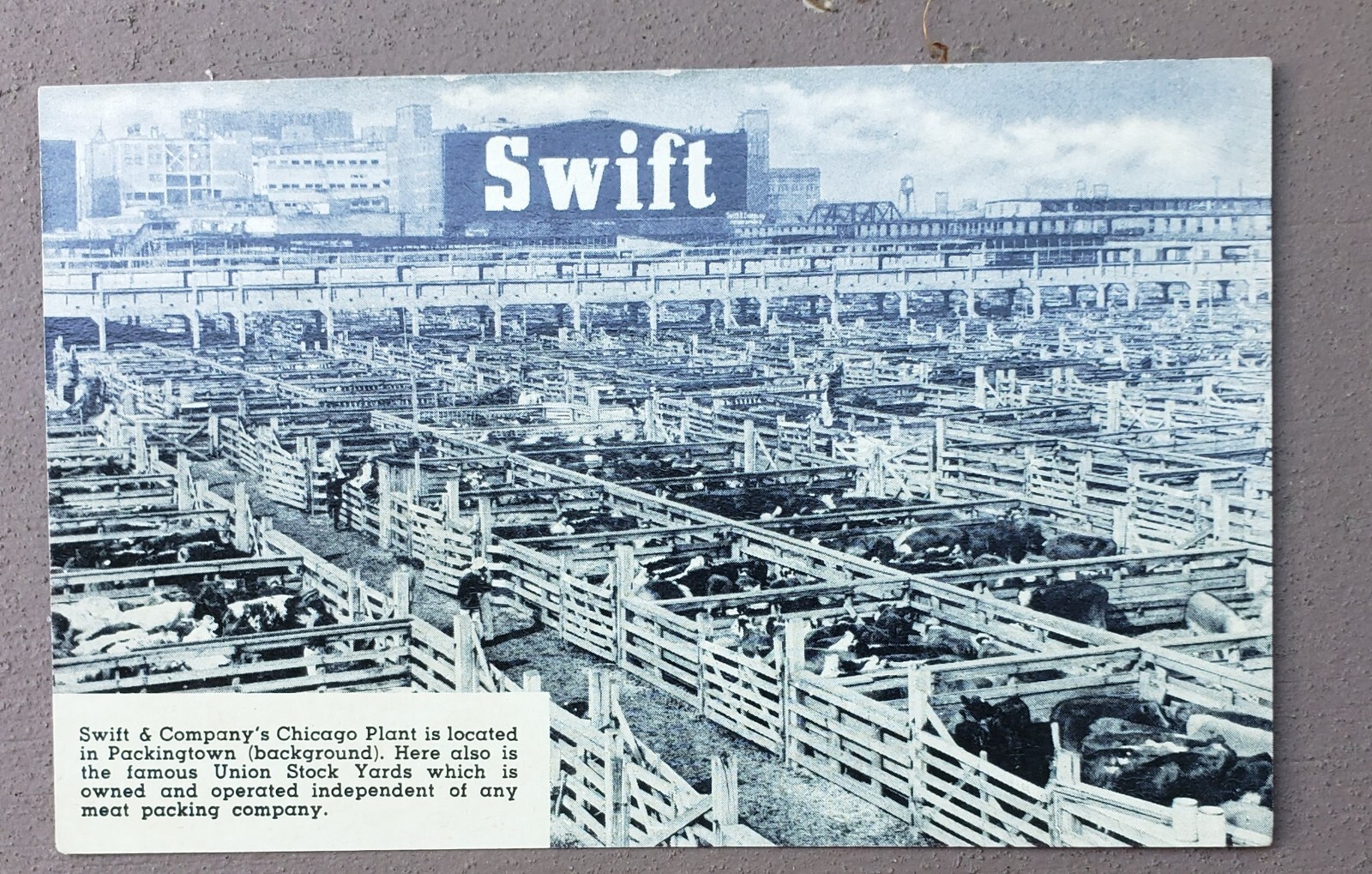 Swift & Co meat packing Plant Union Stockyards Chicago Illinois ...