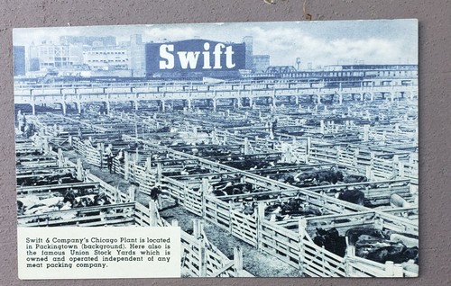 Swift & Co meat packing Plant Union Stockyards Chicago Illinois ...