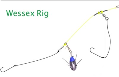 TRIDENT QUALITY SEA FISHING 60lb SNOODS WESSEX RIGS PACK OF 5. | eBay