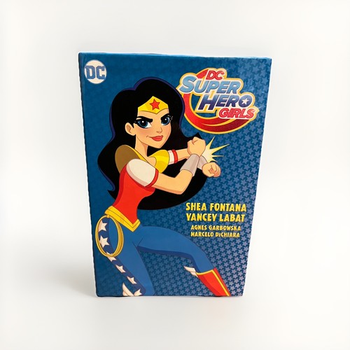 DC Super Hero Girls Boxed Set of 4 Young Adult Comic Books Shea Fontana ...
