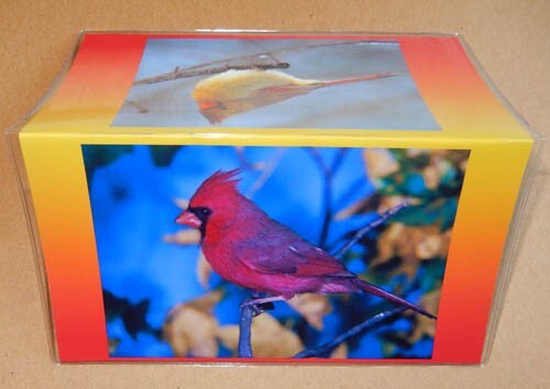 Cardinal Cardinals Bird Birds Vinyl Checkbook Cover with Matching ...