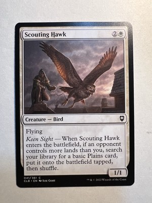 Scouting Hawk Commander Legends: Battle for Baldur's Gate Regular MTG ...