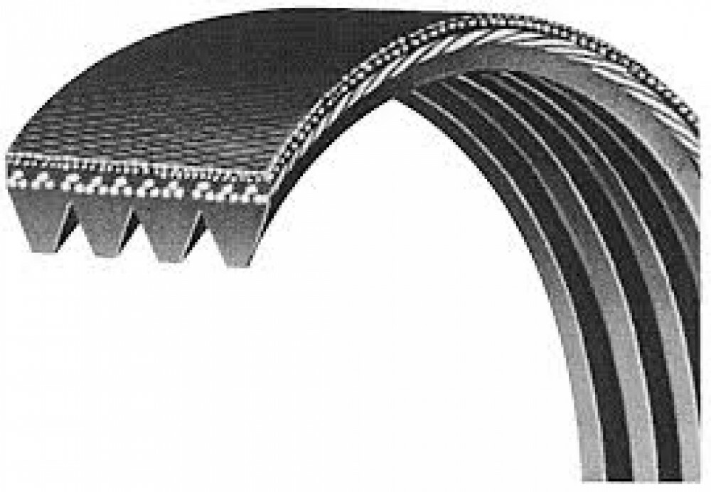 Nissan Genuine OEM Belt-power steering oil pump D40 MNAVARA 2005/05 ...