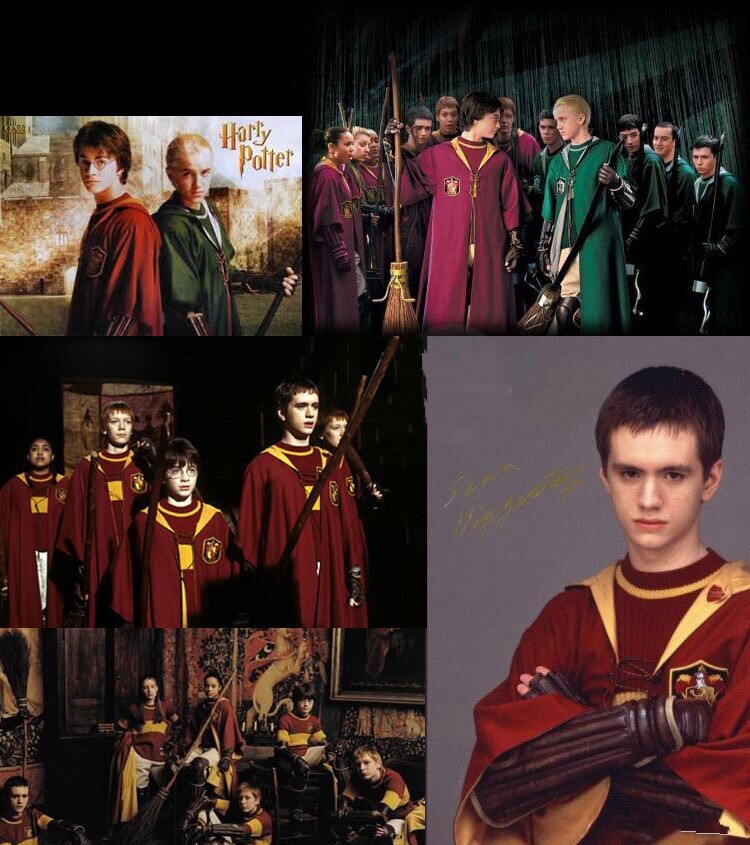 Gryffindor Quidditch Team Costume