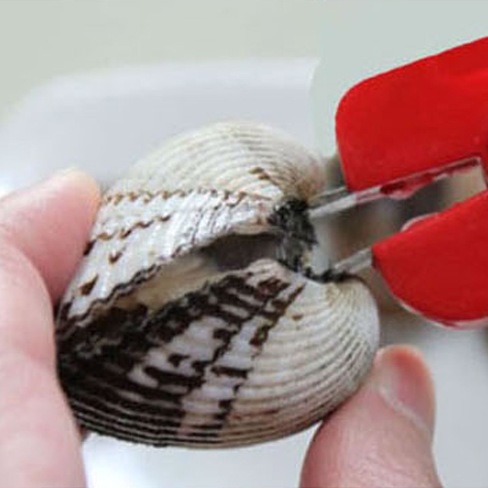 Kitchen Tools Oyster Shellfish Sucker Sea Shell Clam Opener Bottle ...