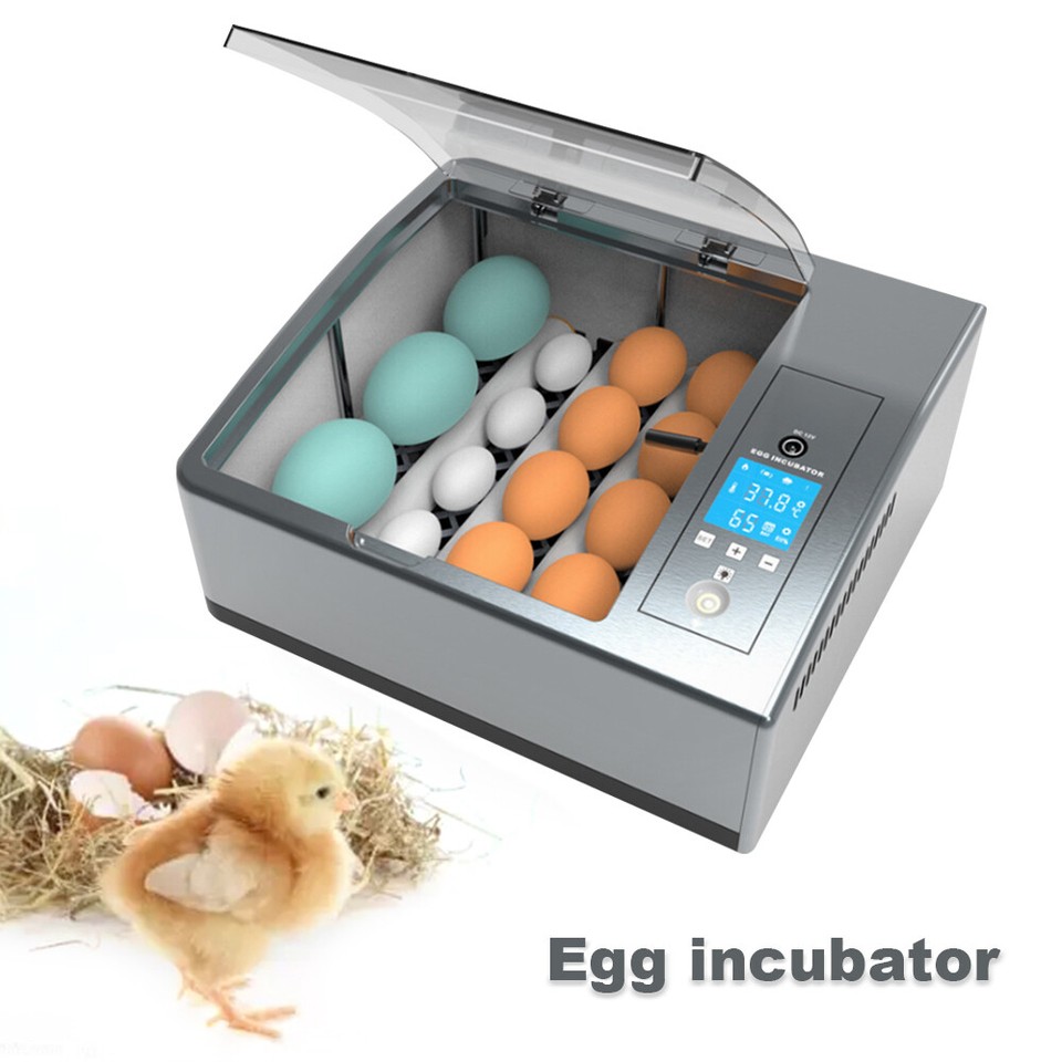 16 Chicken Egg Incubator Fit Hatching Eggs with Automatic Turner Temp ...