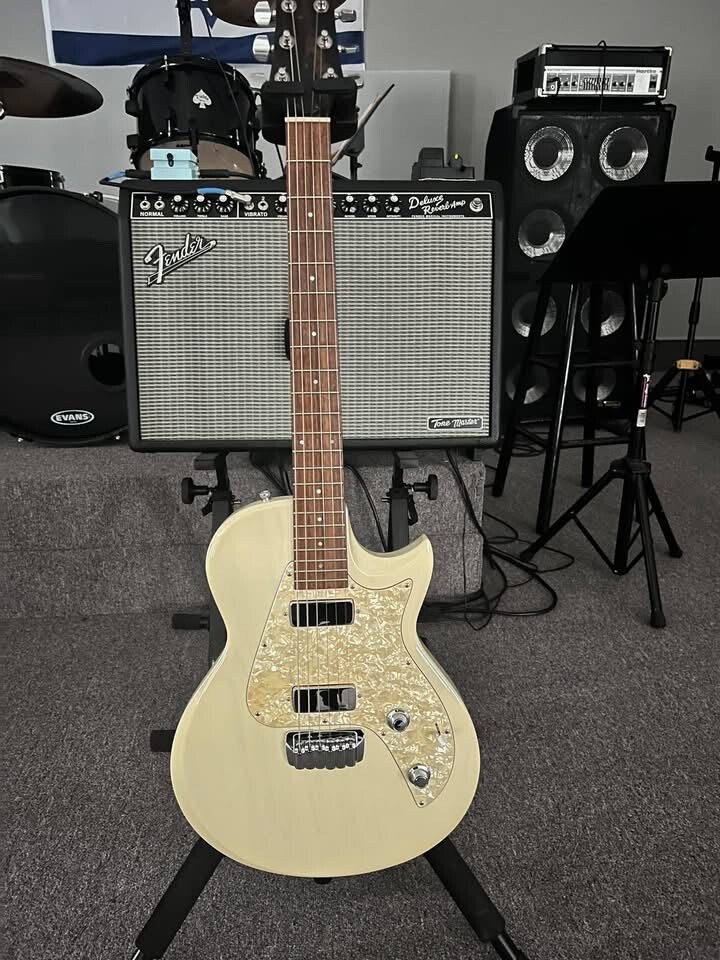 Taylor SB1-S Solid Body Electric Guitar w/ Hard Case …EXCELLENT ...