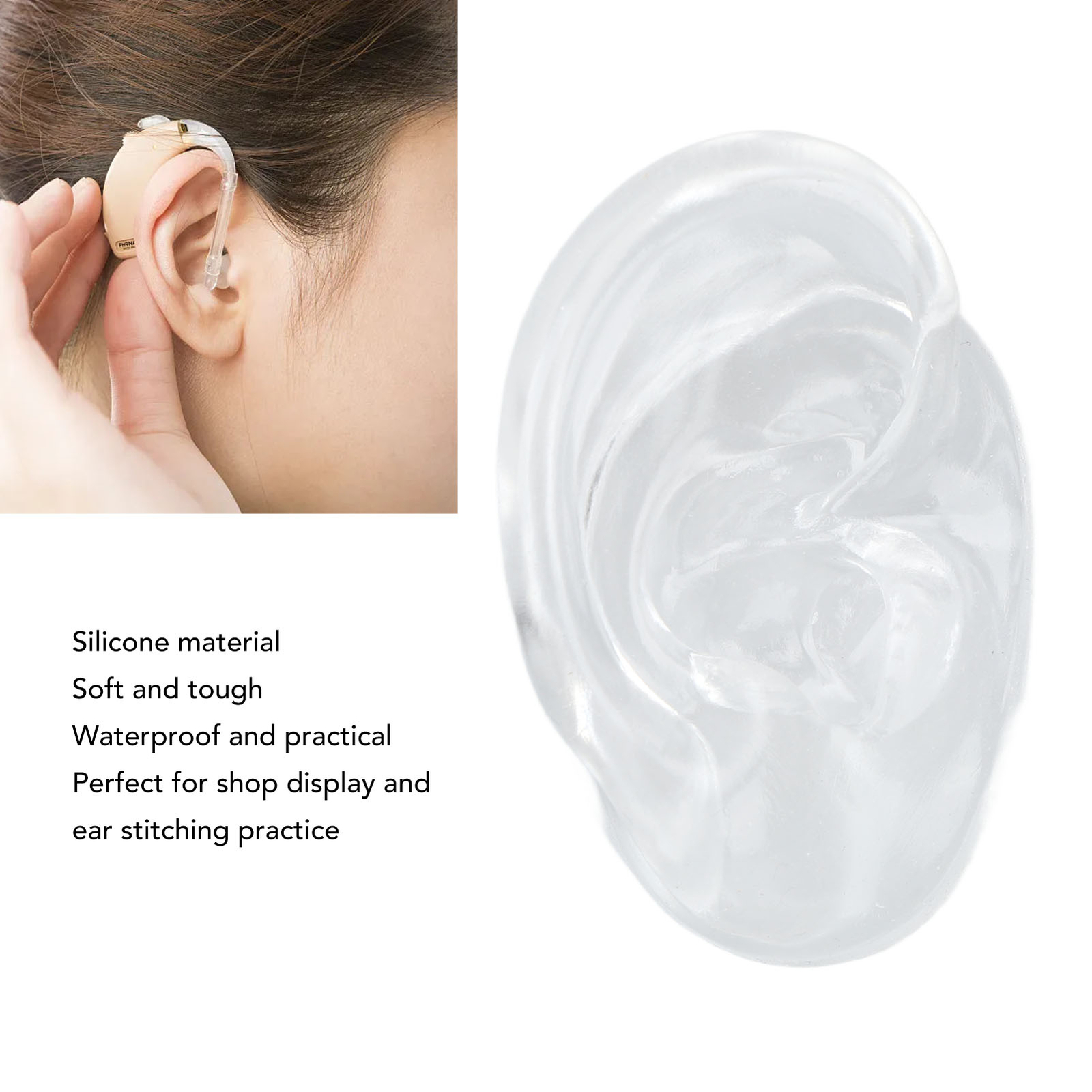Right Ear Model Transparent Ear Teaching Model For Sound Aid Display M ...