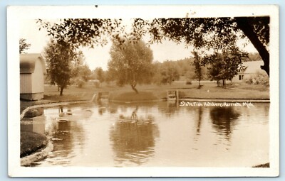 POSTCARD RPPC State Fish Hatchery Harrietta Michigan | eBay