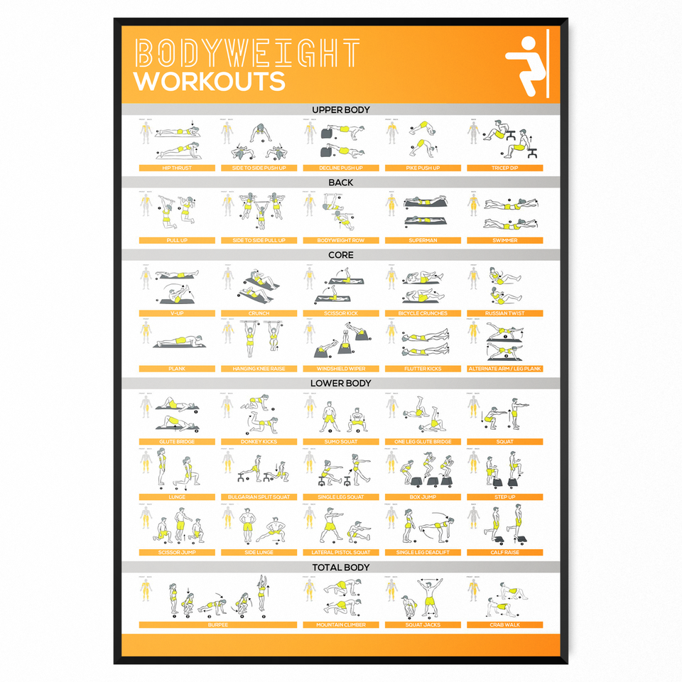 GYM WORKOUT POSTERS Exercises Dumbbell Barbell Kettlebell Cable Machine ...
