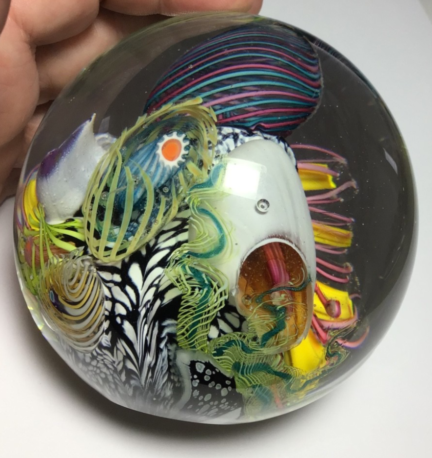 3.5” Large Signed Mark Eckstrand Art Glass Sea Aquarium Coral ...