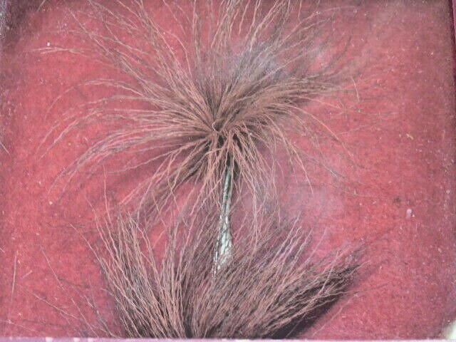 5.5" X 5.5" FRAMED MOOSE HAIR TUFTING ON FELT | eBay