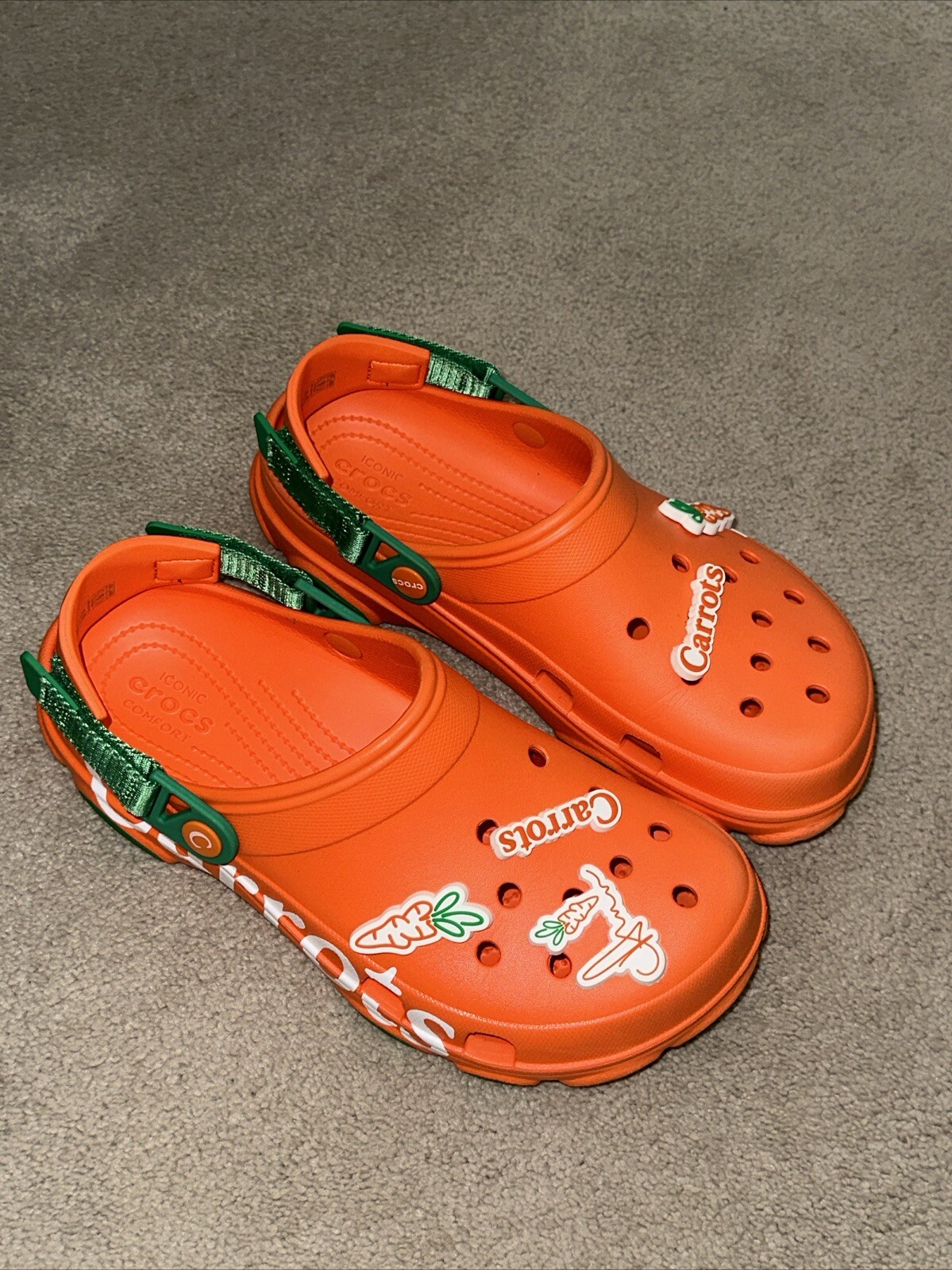 Carrots X Crocs Classic All Terrain Clog 207266-810 M… - Gem