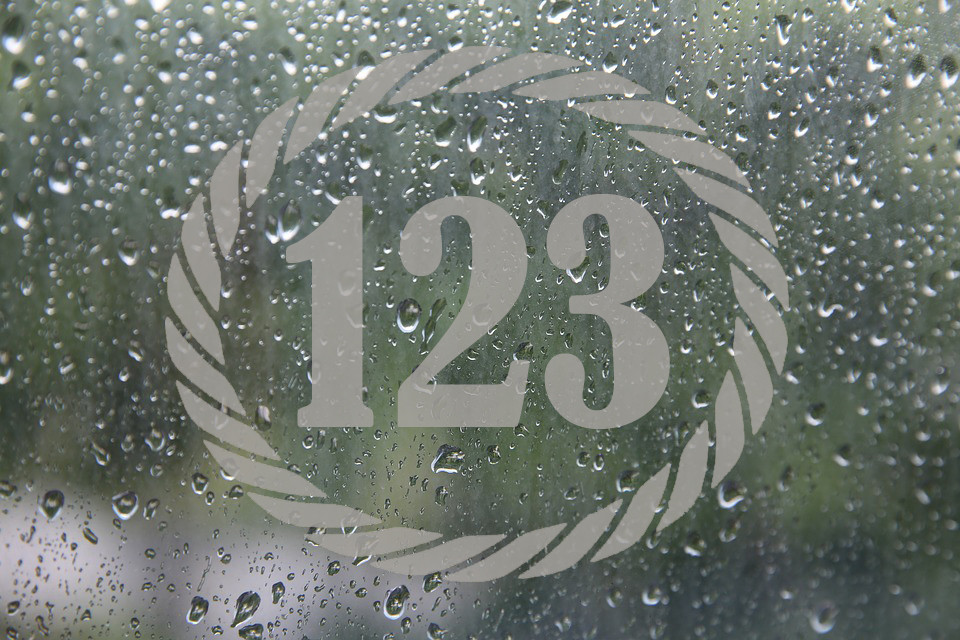 ROPED FROST ETCHED DOOR NUMBERS, GLASS DOOR NUMBERS/ GLASS STICKER ...