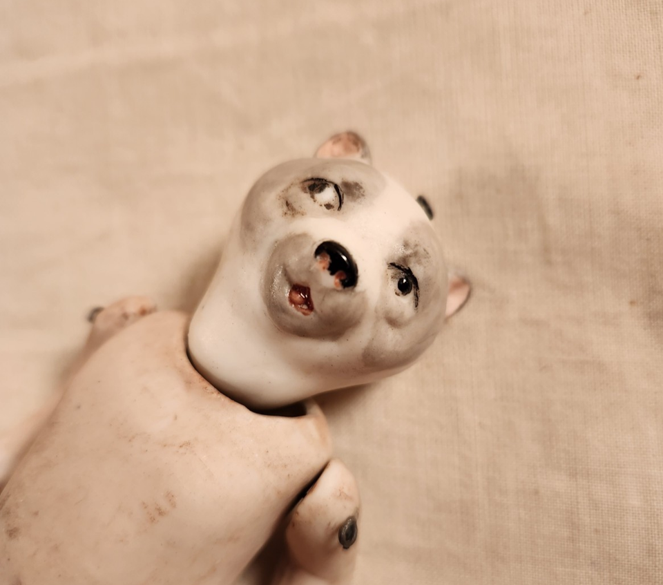 ANTIQUE GERMAN HERTWIG ALL BISQUE DOLL BODY, CAT HEAD, P15 | eBay